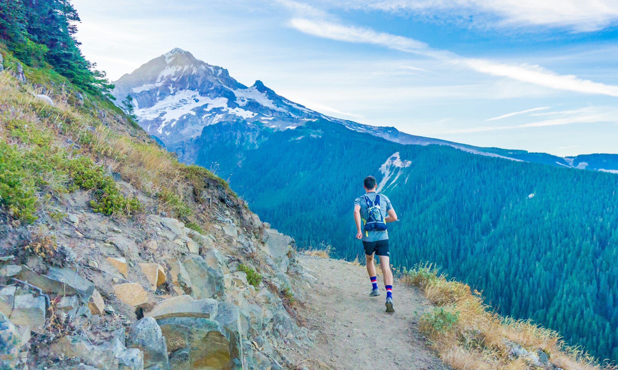 Plan Entraînement Ultra Trail 100 km PDF | Guide Complet & Conseils Experts